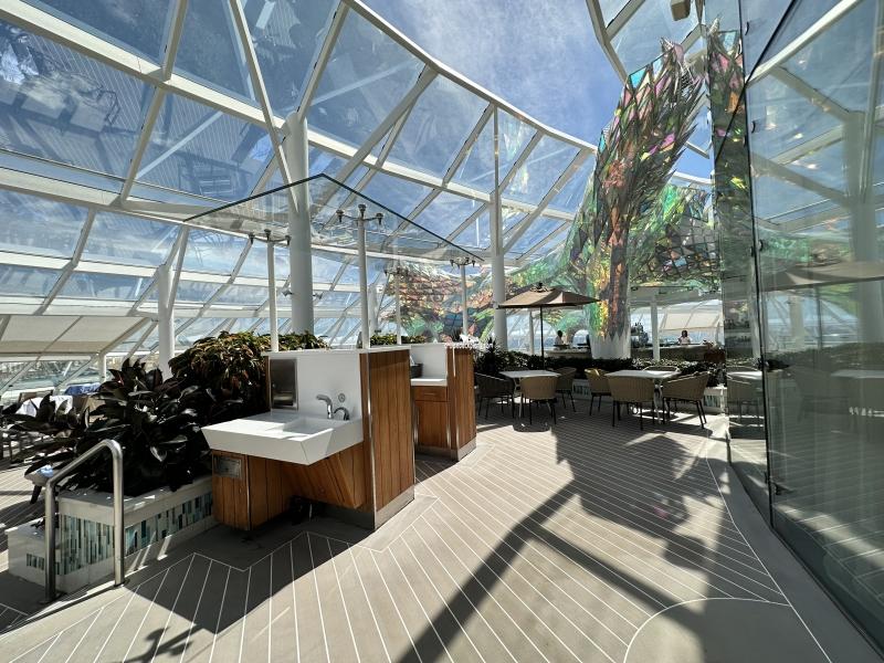 Symphony of the Seas Solarium Bar Pictures